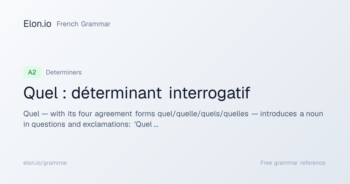 Quel : déterminant interrogatif | French Grammar | Elon.io