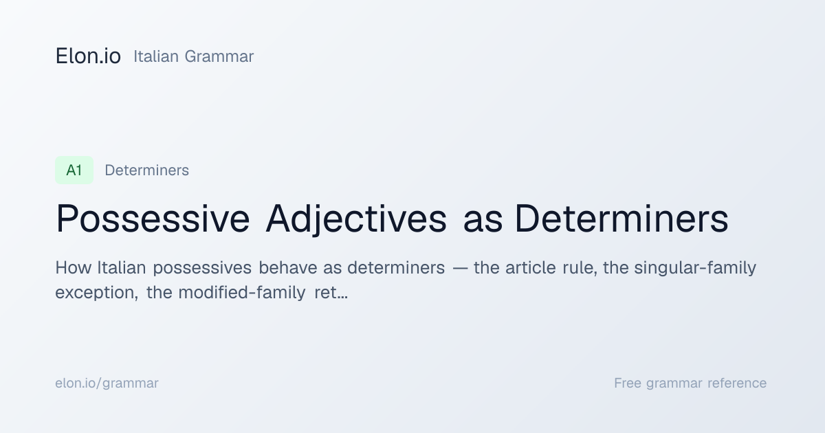 Possessive Adjectives as Determiners | Italian Grammar | Elon.io