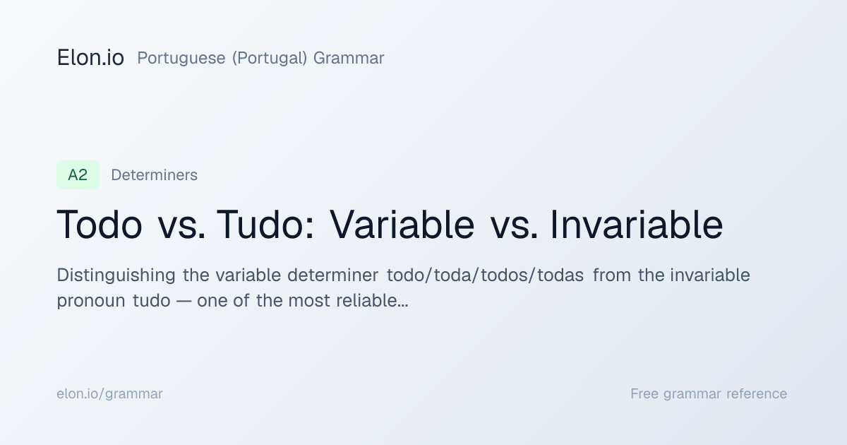 Todo vs. Tudo: Variable vs. Invariable | Portuguese (Portugal) Grammar ...